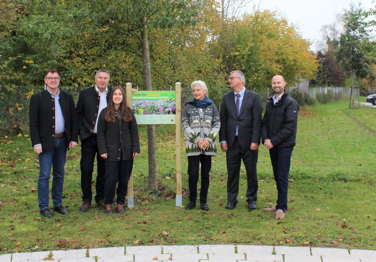 LPV-Projekt Farbe ins Einheitsgrün - Abschluss Projektrunde 2019 ...